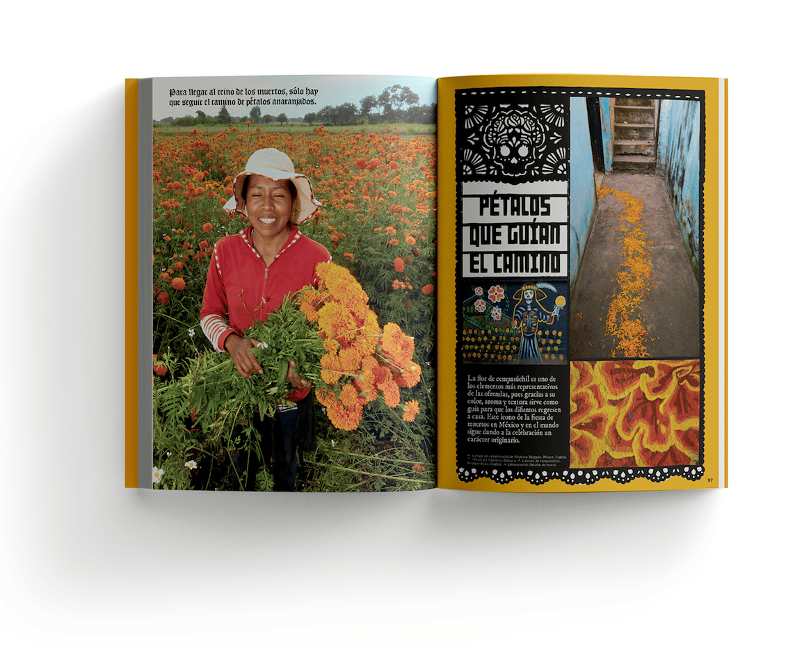 Libro día de muertos