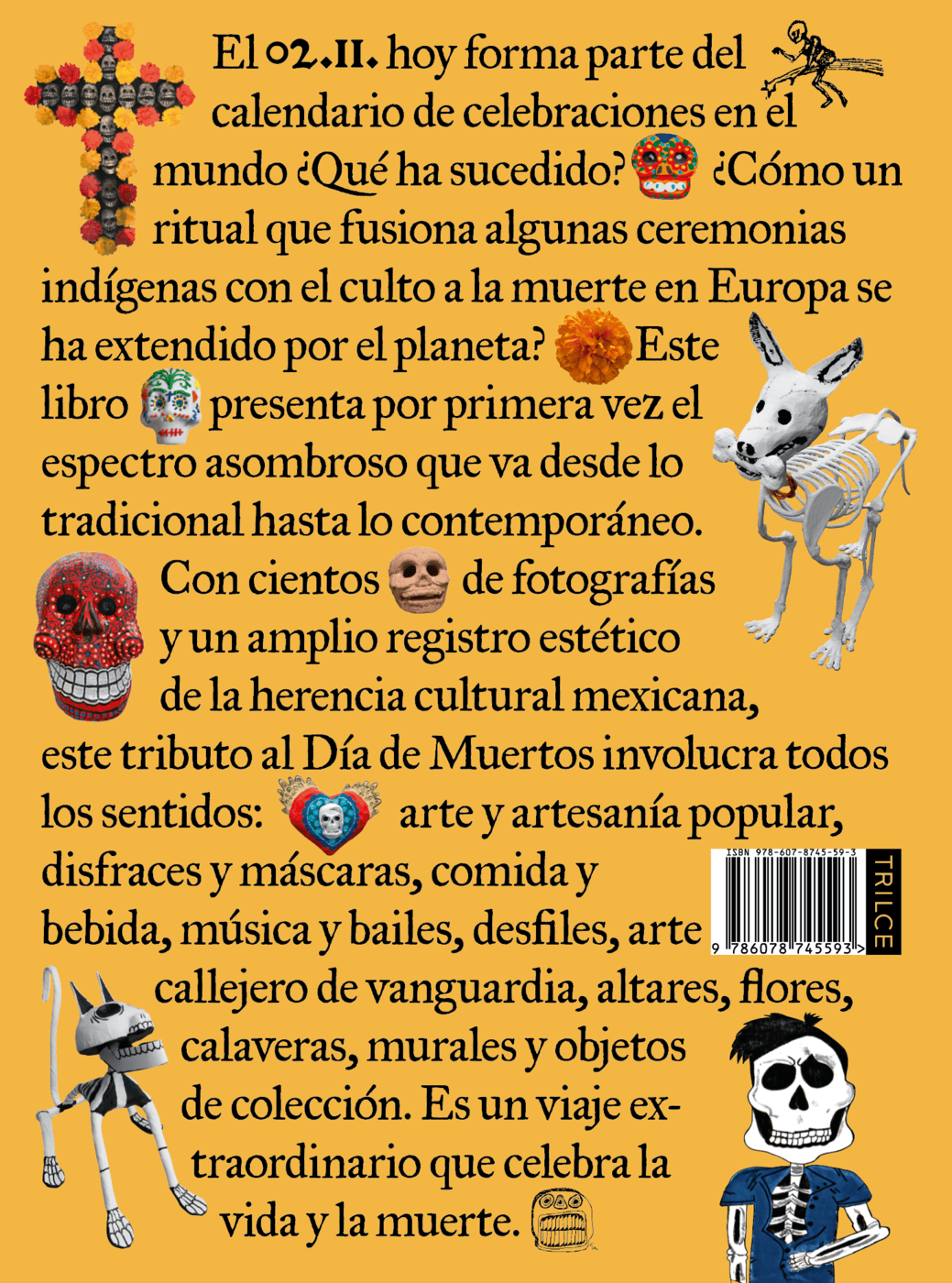 Libro día de muertos
